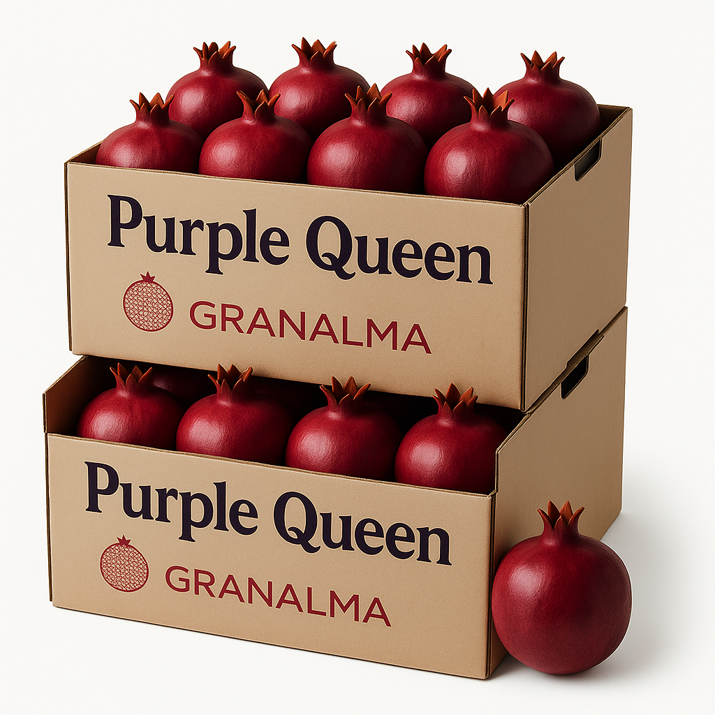 Granada Purple Queen Caja 8 kg - 20/24 granadas - GRANALMA
